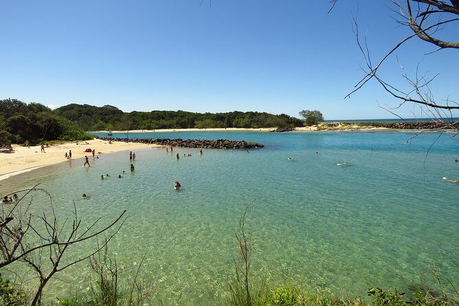 Beyond Byron Hinterland Tour - An In-Depth Look at the Itinerary and What to Expect