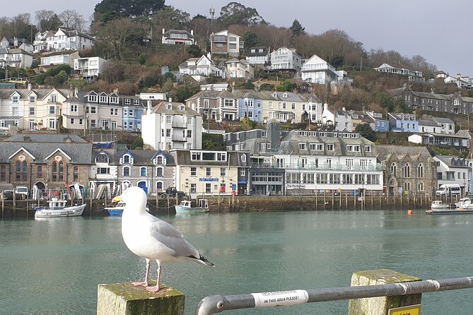 Beyond Paradise TV Show Locations Tour - Practical Details and Tips