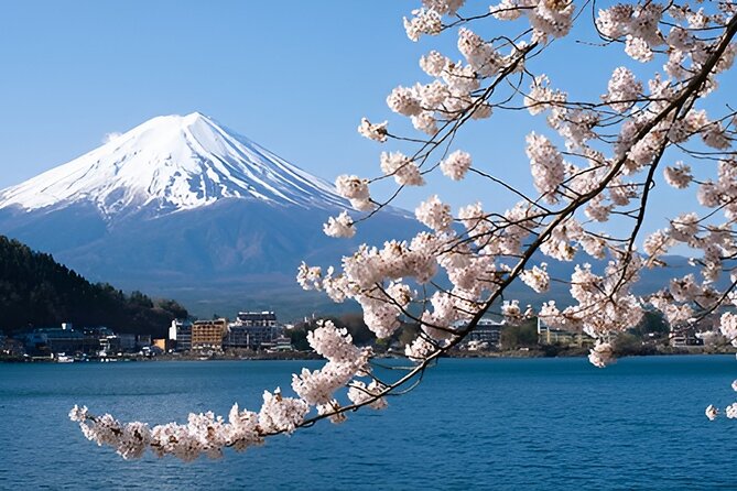Beyond the Ordinary: Private Mount Fuji & Cherry Blossom Tour - Highlights of the Tour