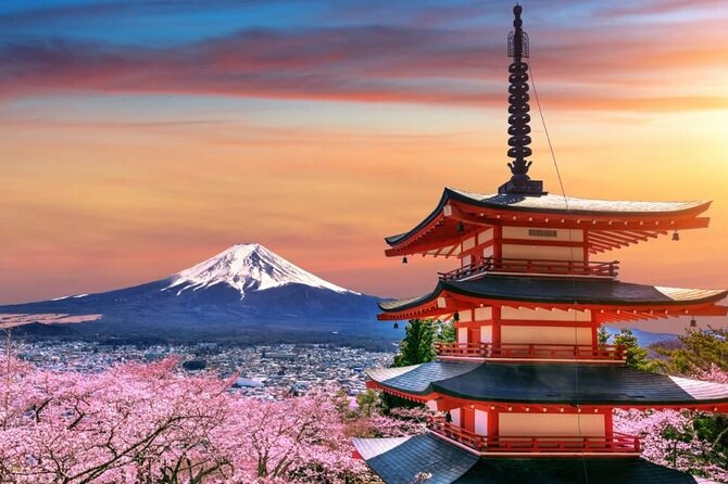 Beyond the Ordinary: Private Mount Fuji & Cherry Blossom Tour - Inclusions and Fees