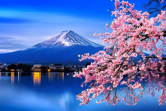Beyond the Ordinary: Private Mount Fuji & Cherry Blossom Tour - Pickup and Drop-off Details