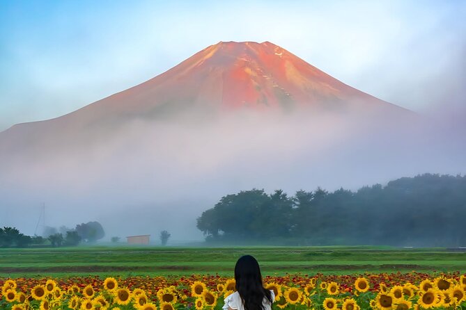 Beyond the Ordinary: Private Mount Fuji & Cherry Blossom Tour - Tour Participation and Accessibility