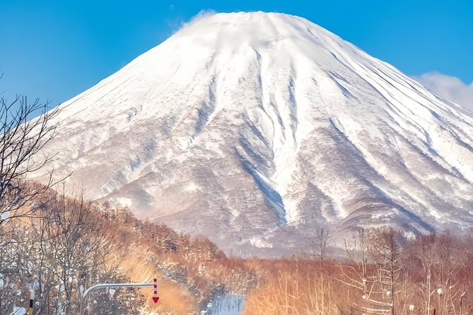 Beyond the Ordinary: Private Mount Fuji & Cherry Blossom Tour - Booking and Cancellation Policies