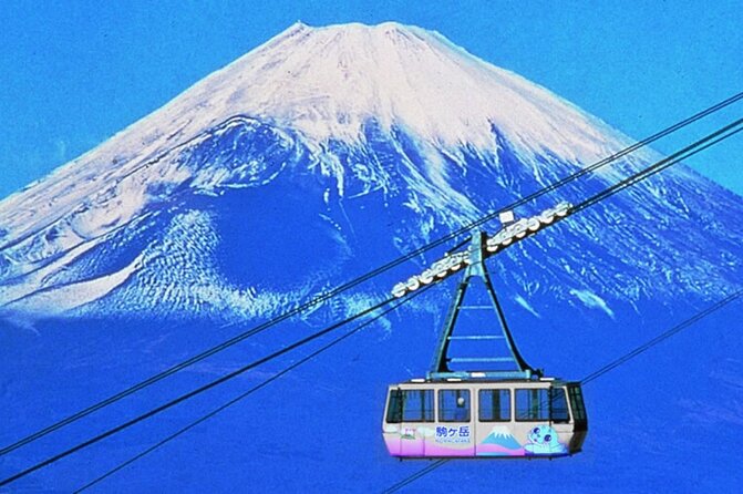 Beyond the Ordinary: Private Mount Fuji & Cherry Blossom Tour - Explore the Beauty of Kawazu Cherry Blossoms