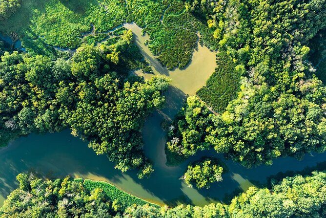 Beyond the Range - 30 minute Rainforest Scenic Flight - Meeting Details and Practicalities