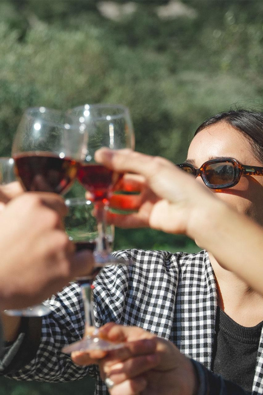 Béziers : Wine Tours & Wine tasting - What Makes This Tour Special?