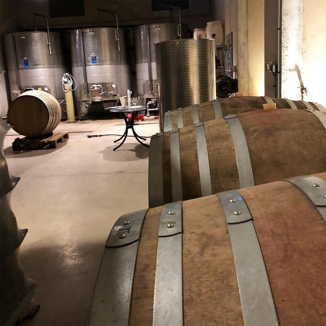 Béziers : Wine Tours & Wine tasting - Analyzing the Value