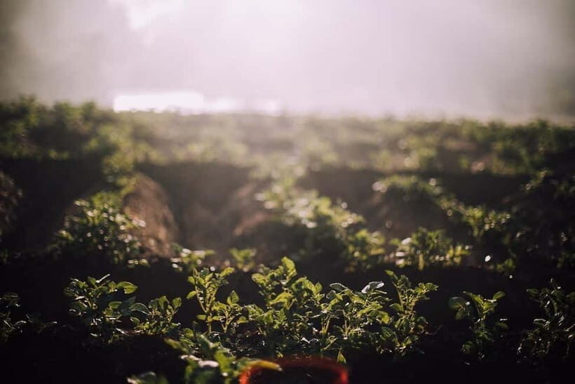 Bhaktapur: 3-Day Herb Nepal Farm Stay with Meals - What to Expect from Your 3-Day Farm Stay