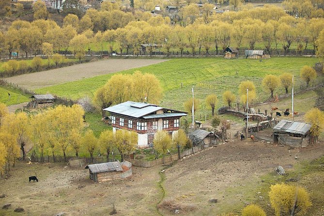 Bhutan Family Vacation With Cultural Tour - The Practical Side: What to Expect