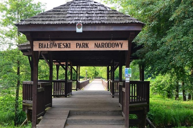 Bialowieza National Park Small Group Tour From Warsaw With Lunch Included - Health and Safety Measures