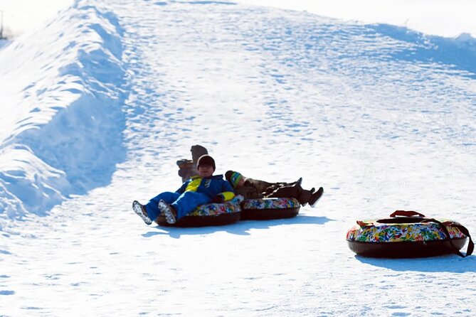 Bibai Snow Land Experience With Lunch and a Snowmobile Activity - Health and Accessibility Considerations
