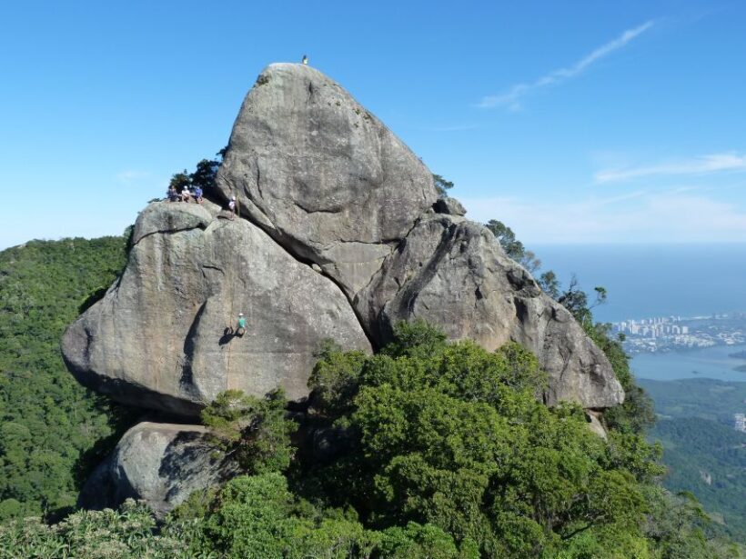 Bico do Papagaio Guided Hiking Tour in the Tijuca Forest - The Sum Up
