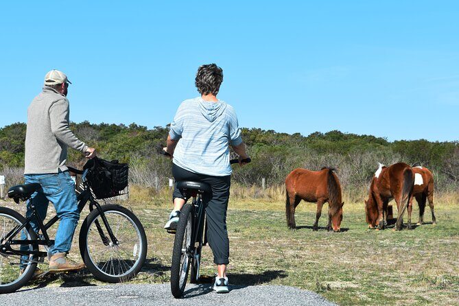 Bicycle Rental from Visitor Center location at Assateague, MD - The Basics of the Bicycle Rental Experience
