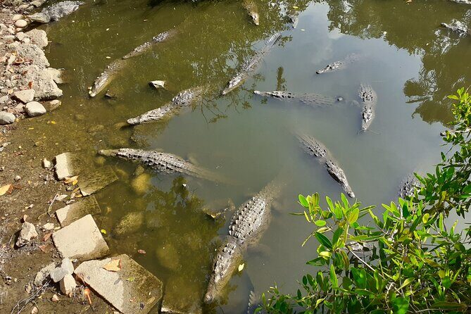 Bicycle Tour in Ixtapa - FAQ: Your Practical Questions Answered