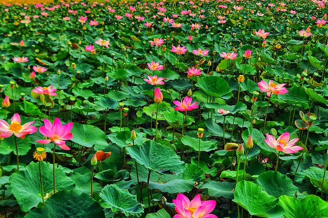 Bicycle Tour Through Peaceful Villages - Final Thoughts