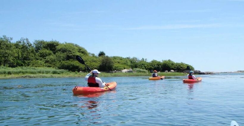 Biddeford Pool: Half Day Kayak or SUP Rental - Practical Tips for Your Trip