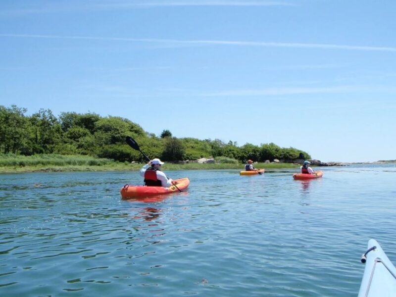 Biddeford Pool: Half Day Kayak or SUP Rental - Who Will Love This?