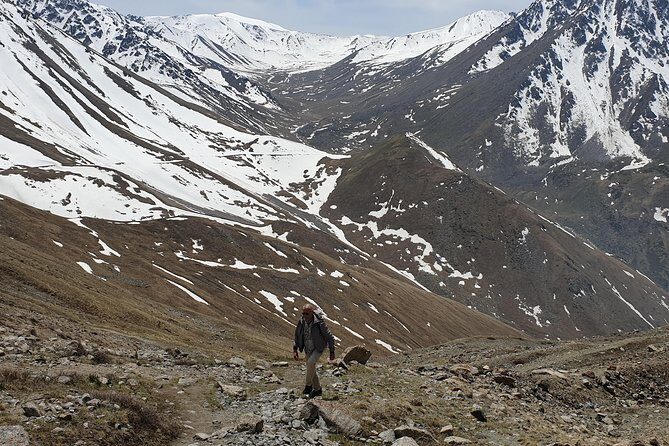 Big Almaty Lake and City Private Tour - Key Points