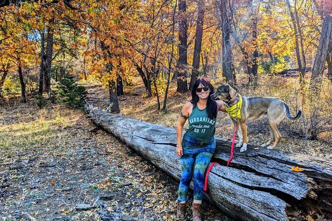 Big Bear Fall Colors Hiking Tour in Southern California - Why This Tour Offers Great Value