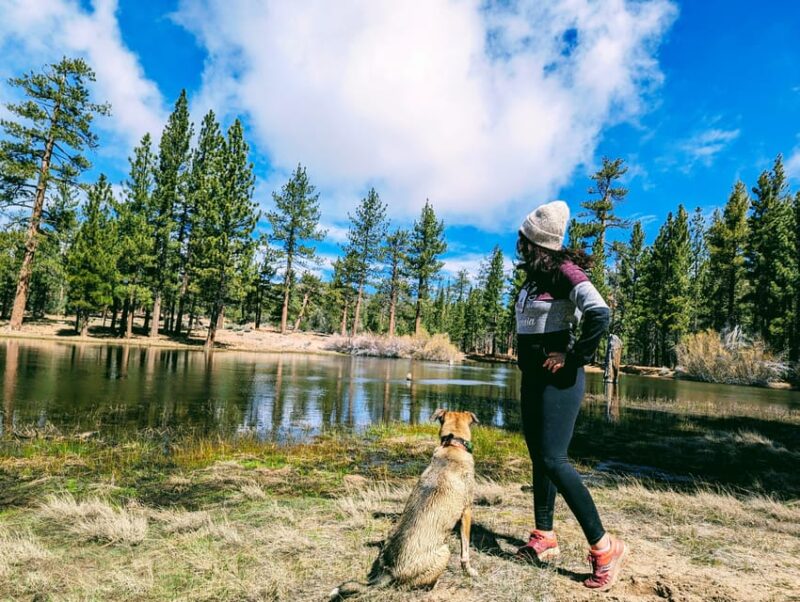 Big Bear: Family-Friendly Nature Walk w Hot Chocolate - Key Points