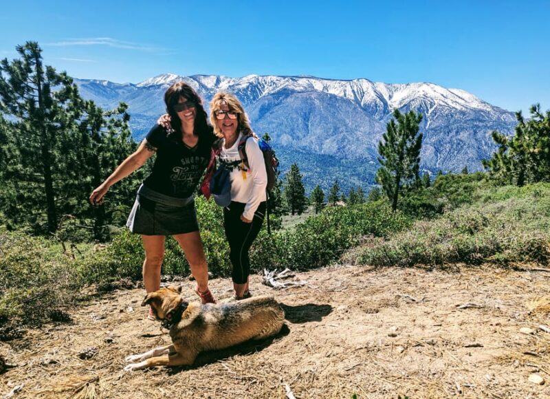 Big Bear: Family-Friendly Nature Walk w Hot Chocolate - What You’ll Learn About Local Plants and Wildlife