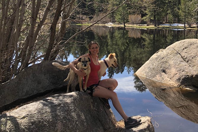 Big Bear Jeep off-road tour with Hike to Bluff Lake Reserve - An Introduction to the Big Bear Jeep & Hike Tour