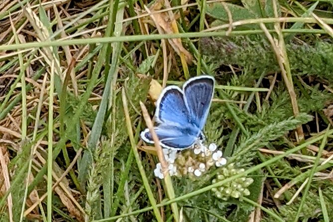 Big Bear Jeep off-road tour with Hike to Bluff Lake Reserve - Value for Money