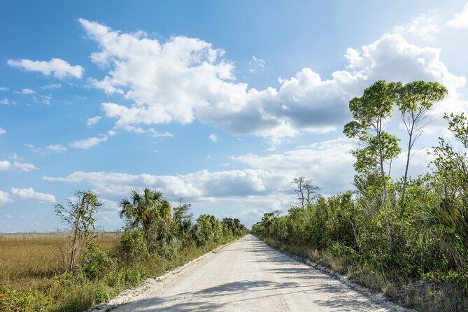 Big Cypress National Preserve Audio Tour Guide - What Travelers Say: The Good and the Not-So-Good