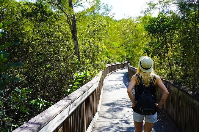 Big Cypress National Preserve Audio Tour Guide - Who Is This Tour Best For?