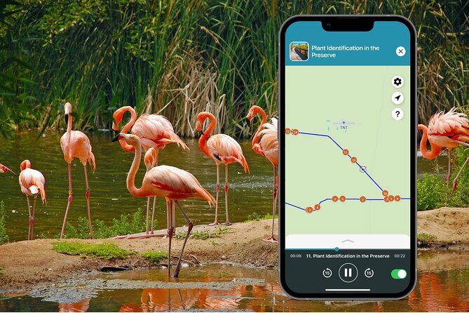 Big Cypress National Preserve Audio Tour Guide - FAQ