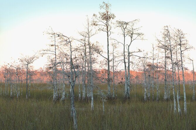 Big Cypress National Preserve Self Guided Driving Audio Tour - Final Words