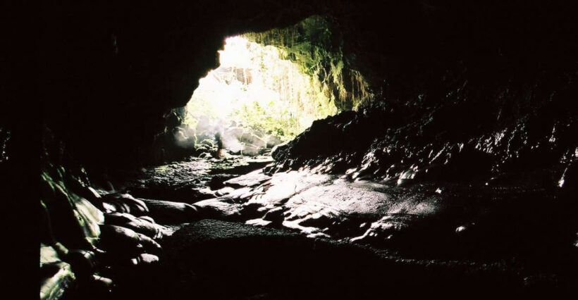 Big Hawaii: Private Guided Van Tour - Transportation and Comfort