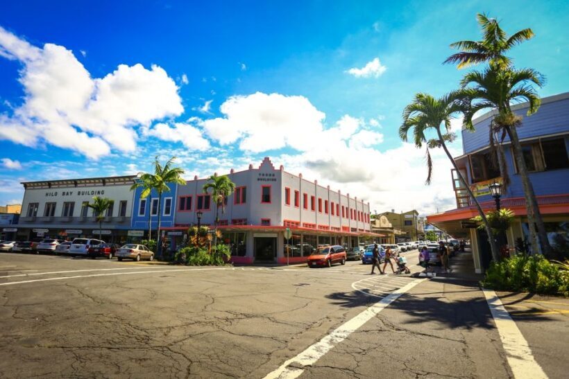 Big Hawaii: Private Guided Van Tour - Who Should Consider This Tour?