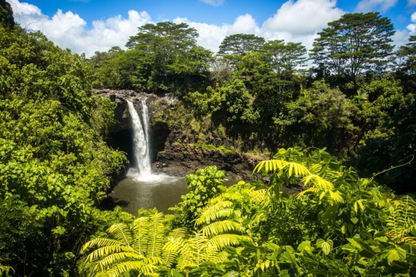 Big Hawaii: Private Guided Van Tour - Practical Tips