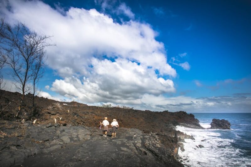 Big Hawaii: Private Guided Van Tour - The Experience Guide: Why It Matters