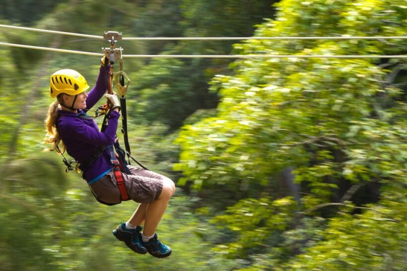 Big Island: 3-Hour Kohala Canopy Zipline Adventure - An Overview of the Kohala Canopy Zipline Adventure