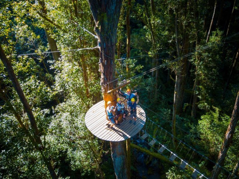 Big Island: 3-Hour Kohala Canopy Zipline Adventure - Practical Details and Tips