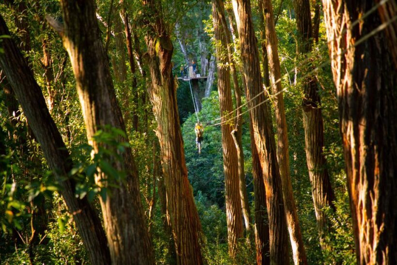 Big Island: 3-Hour Kohala Canopy Zipline Adventure - The Sum Up