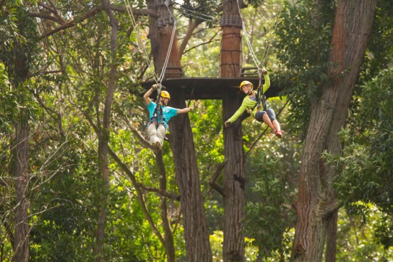 Big Island: 3-Hour Kohala Canopy Zipline Adventure - Top Highlights of the Kohala Zipline Tour