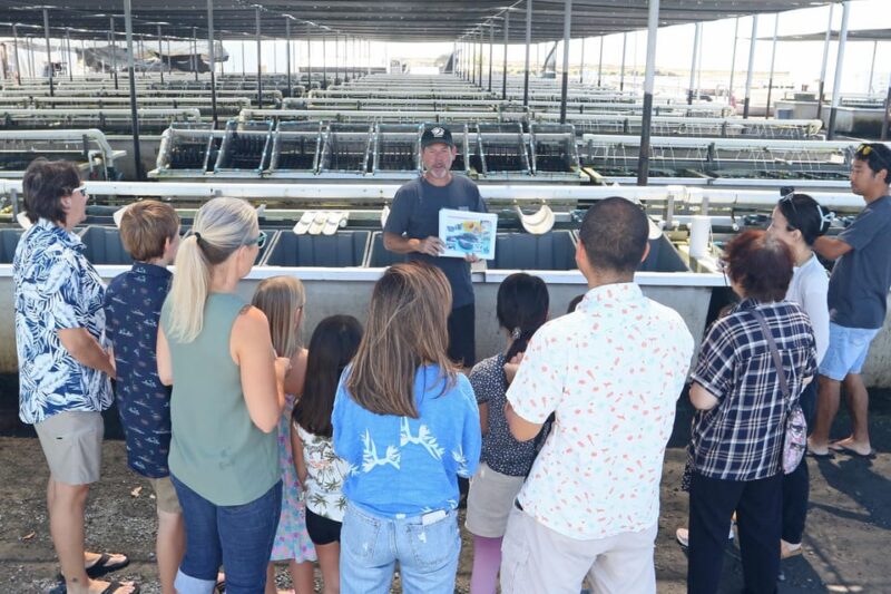 Big Island: Abalone Farm Guided Tour with Tasting - Why This Tour Works for Travelers