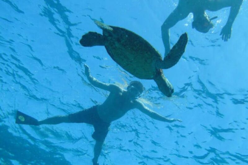 Big Island: Captain Cook Sightseeing & Snorkel Expedition - The Experience for Different Types of Travelers