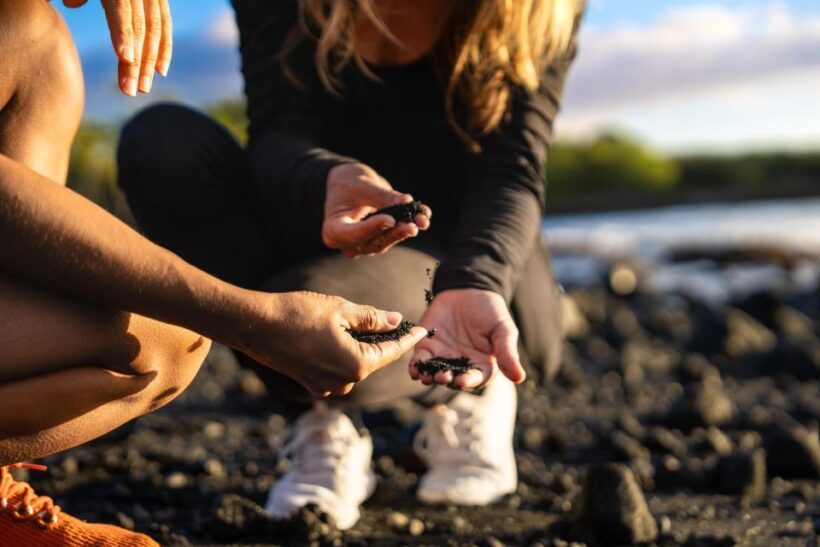 Big Island: Coffee, Black Sand, Volcano and Waterfall Tour - Authenticity and Cultural Connection