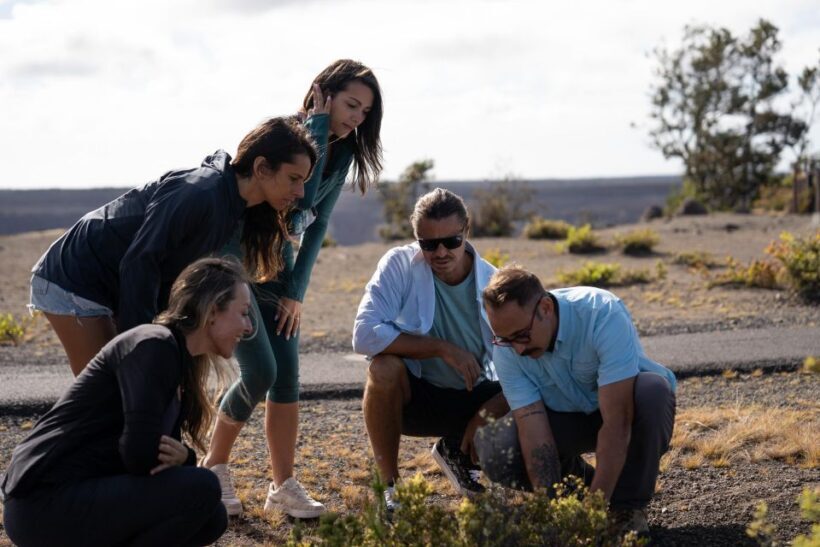 Big Island: Coffee, Black Sand, Volcano and Waterfall Tour - Final Words: Who Should Book This Tour?