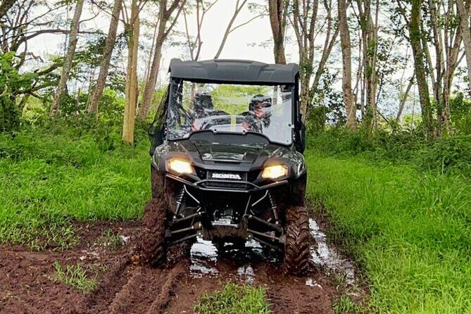 Big Island Family Off Road Farm Adventure - Who Should Consider This Tour?