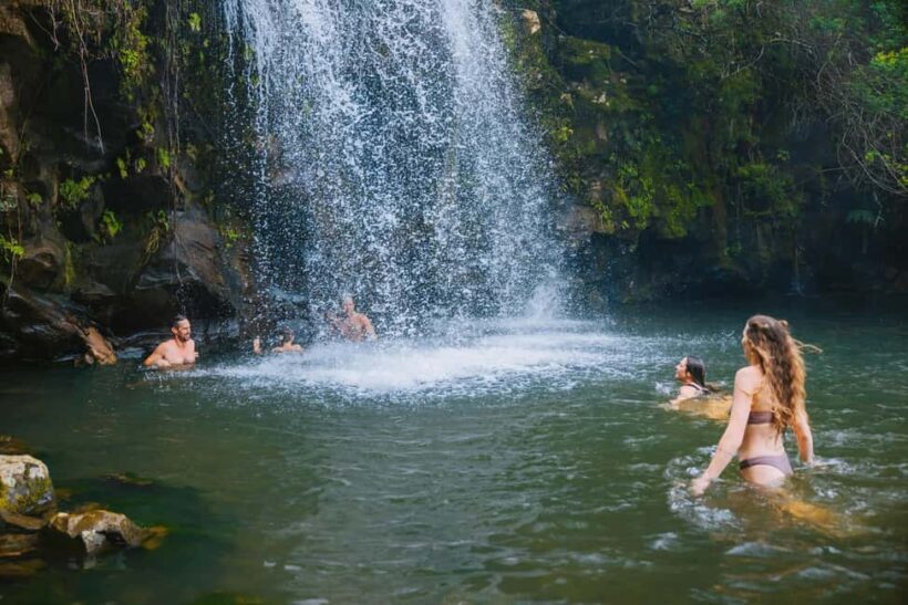 Big Island: Full Day Adventure Tour of the Kohala Waterfalls - Key Points