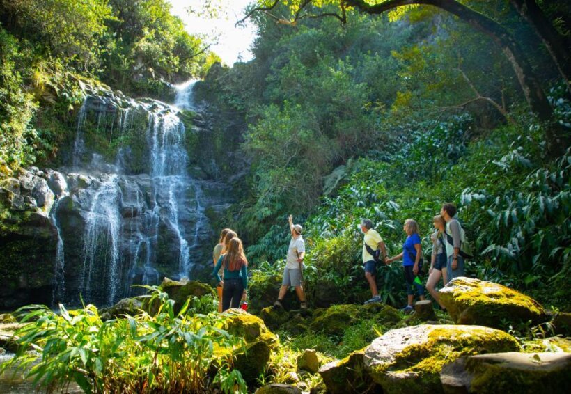 Big Island: Full Day Adventure Tour of the Kohala Waterfalls - An Authentic Taste of Hawaii’s Natural Beauty