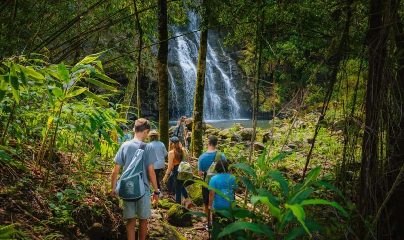 Big Island: Full Day Adventure Tour of the Kohala Waterfalls - The Sum Up