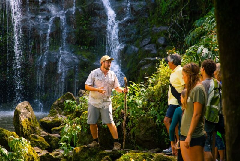 Big Island: Full Day Adventure Tour of the Kohala Waterfalls - Scenic Picnic and Cultural Insights