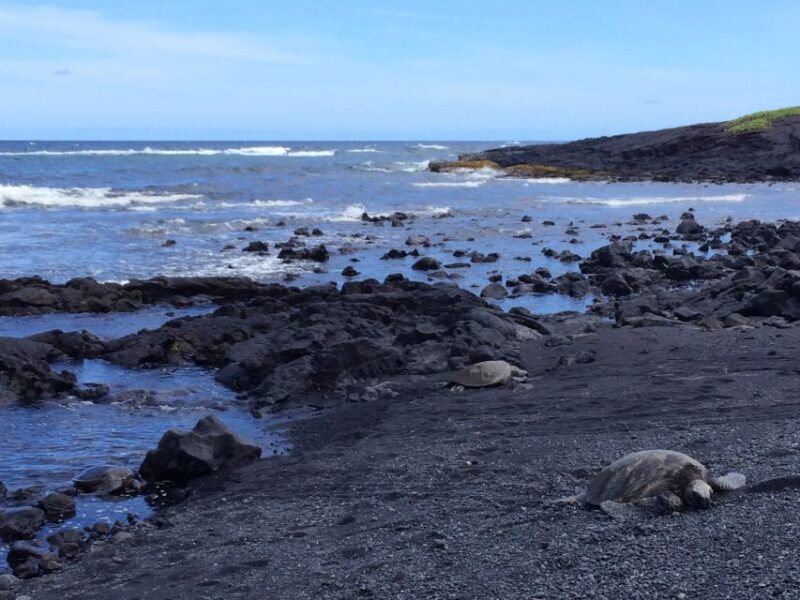 Big Island: Full Day Circle Island Tour From Kona - The Value of This Tour