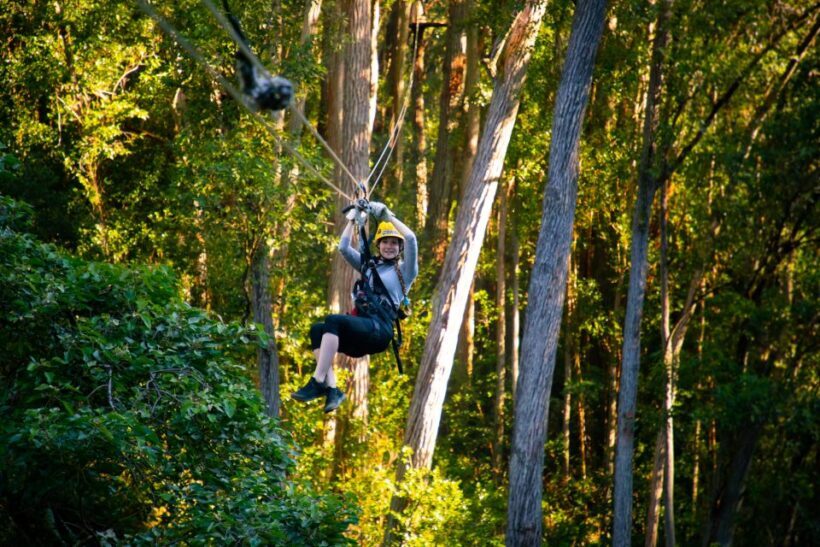 Big Island: Full-Day Kohala Zipline and Waterfall Adventure - Big Island: Full-Day Kohala Zipline and Waterfall Adventure — An In-Depth Review